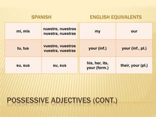 Possessive adjectives | PPTX