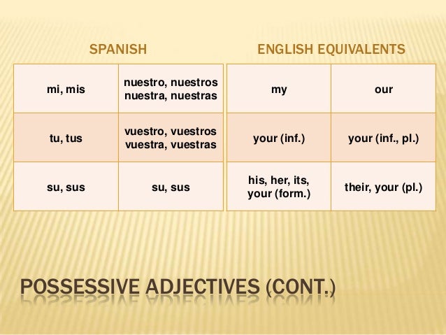 Possessive adjectives
