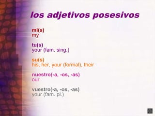 Possessive adjectives | PPT