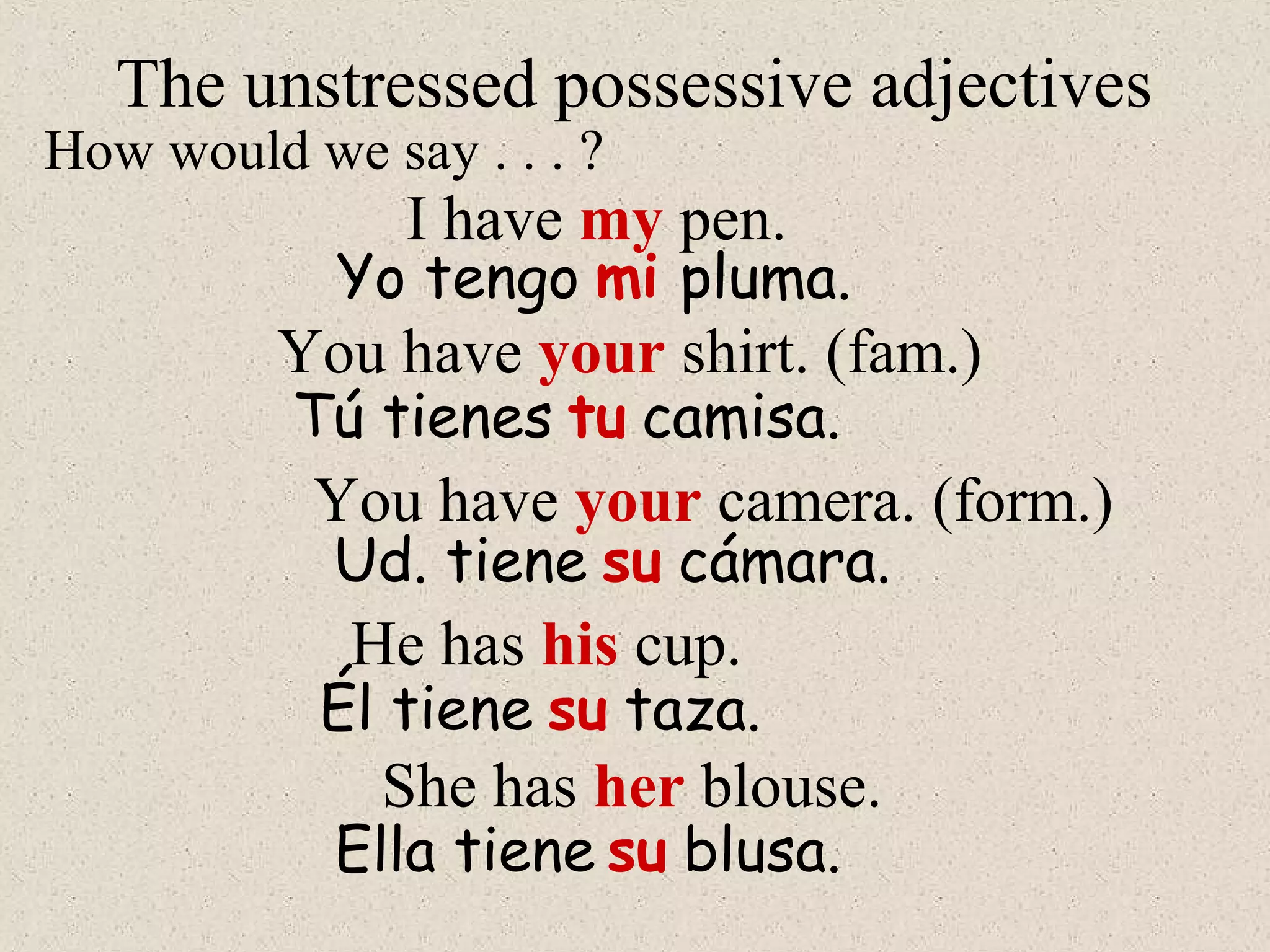Possessive adjectives | PPT