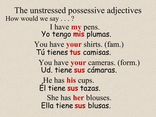 Possessive adjectives | PPT