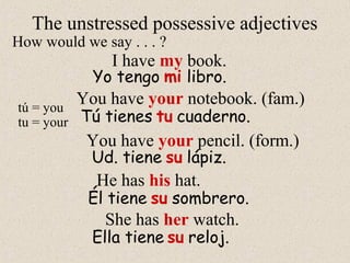 Possessive adjectives | PPT
