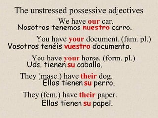 Possessive adjectives | PPT