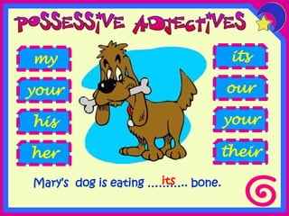 Possessive adjectives | PPT