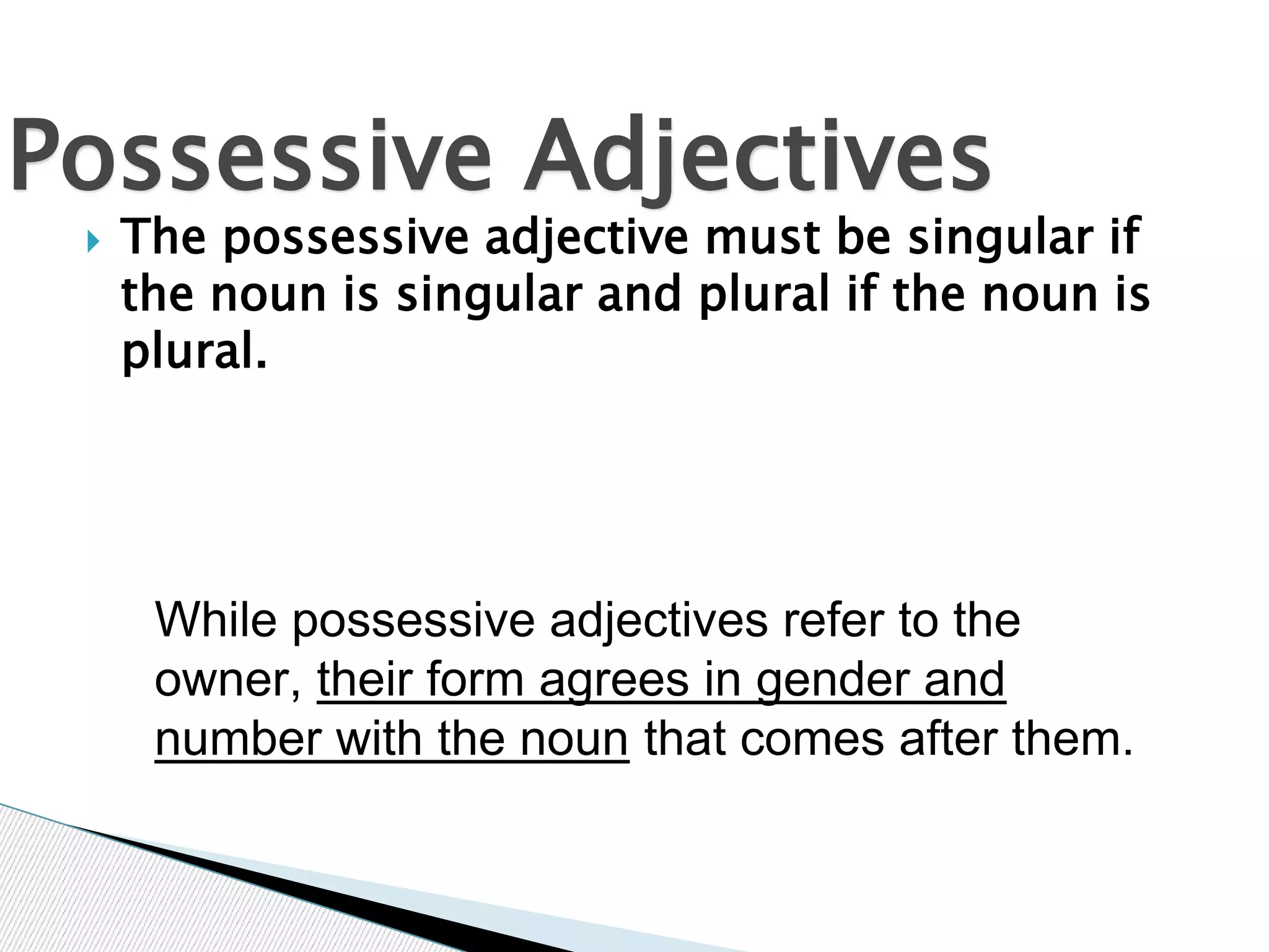 Possessive adjectives | PPTX