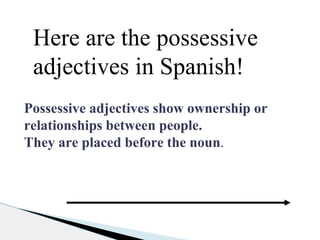 Possessive adjectives | PPT