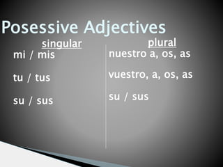 Possessive adjectives | PPT