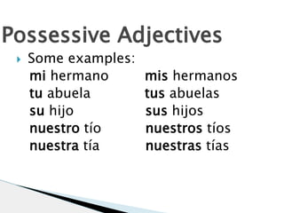 Possessive adjectives | PPT