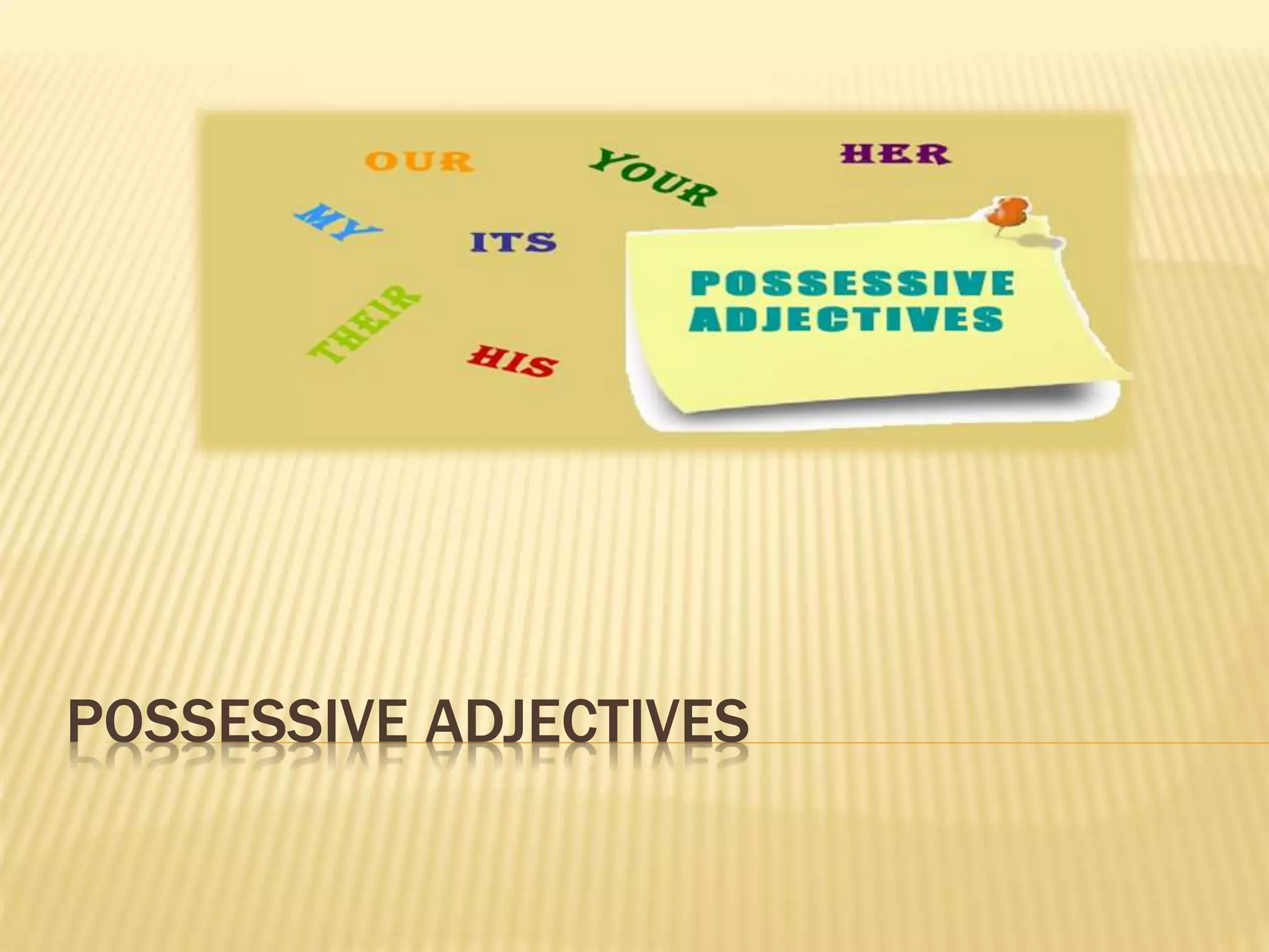 Possessive adjectives | PPTX