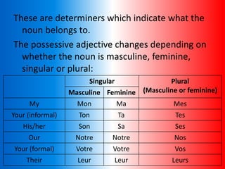 Possessive adjectives | PPTX