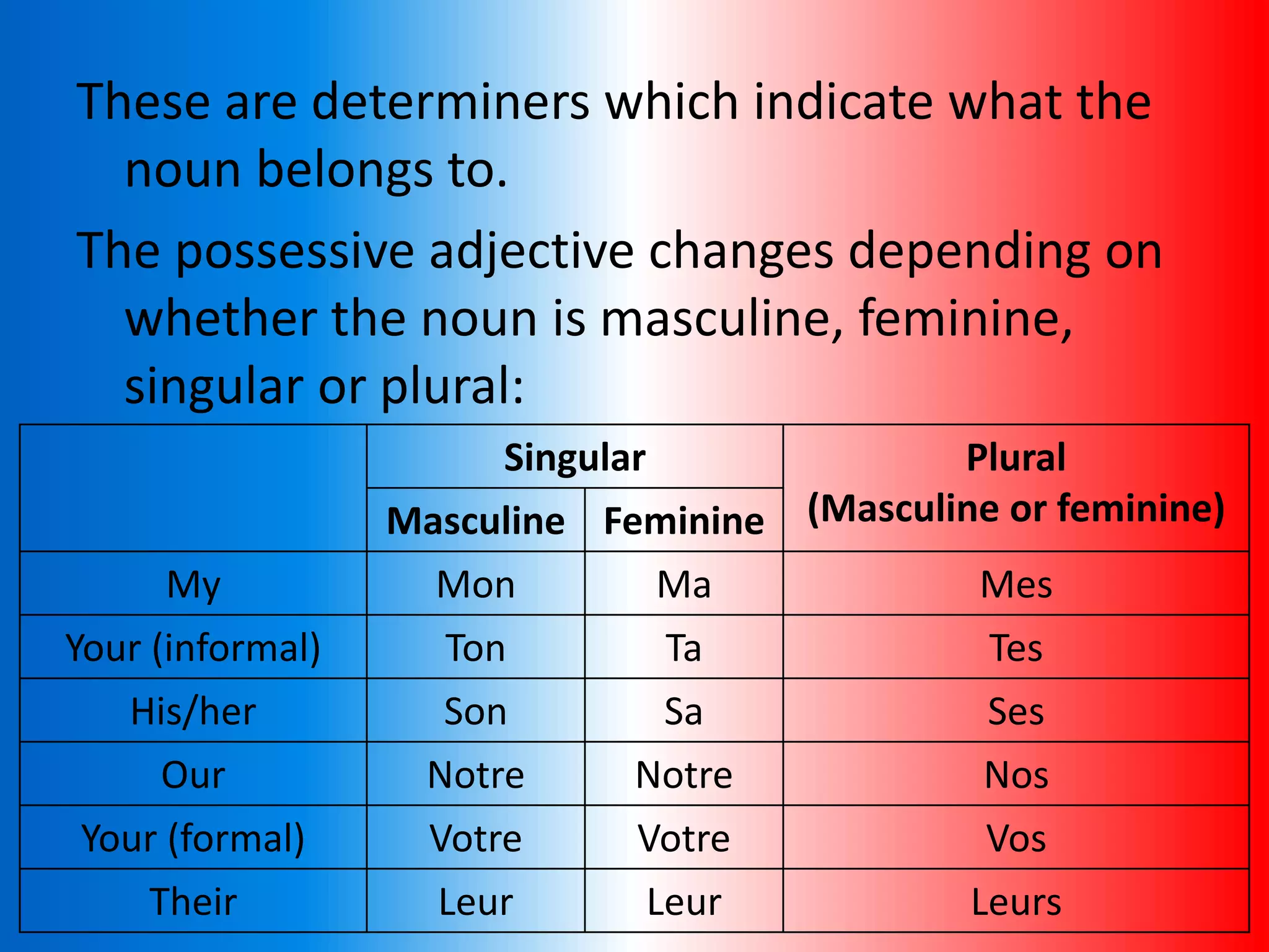 Possessive adjectives | PPTX