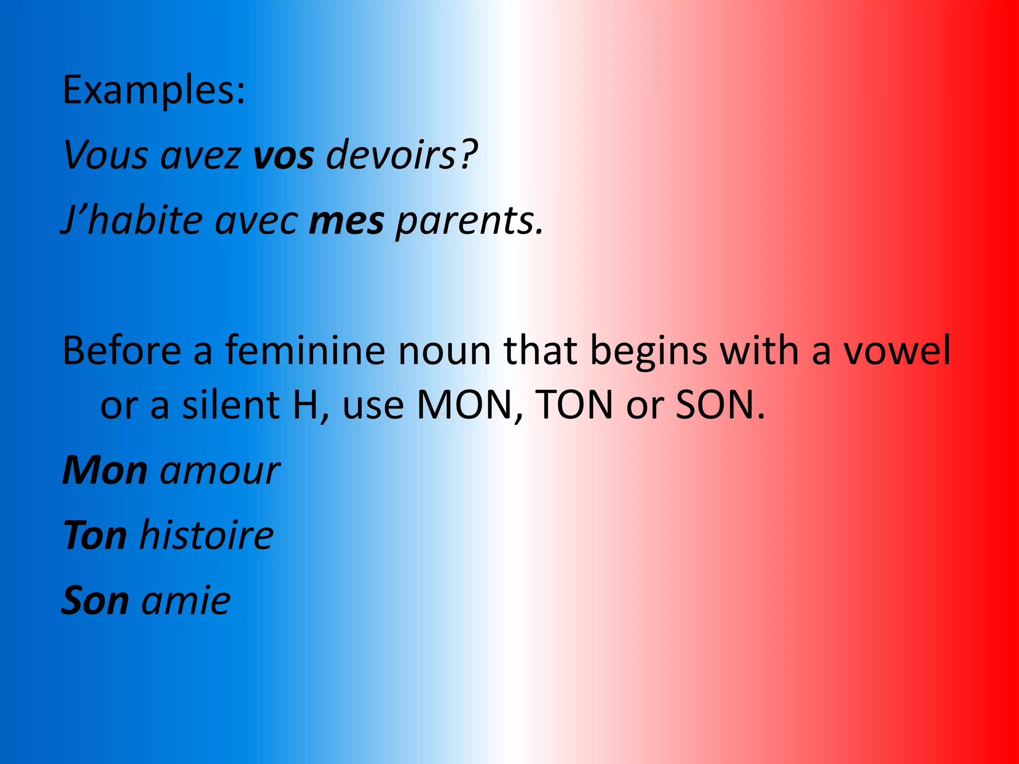 Possessive adjectives | PPTX