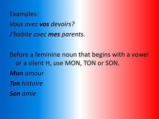 Possessive adjectives | PPTX