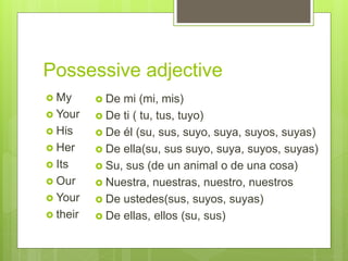 Possessive adjectives | PPTX