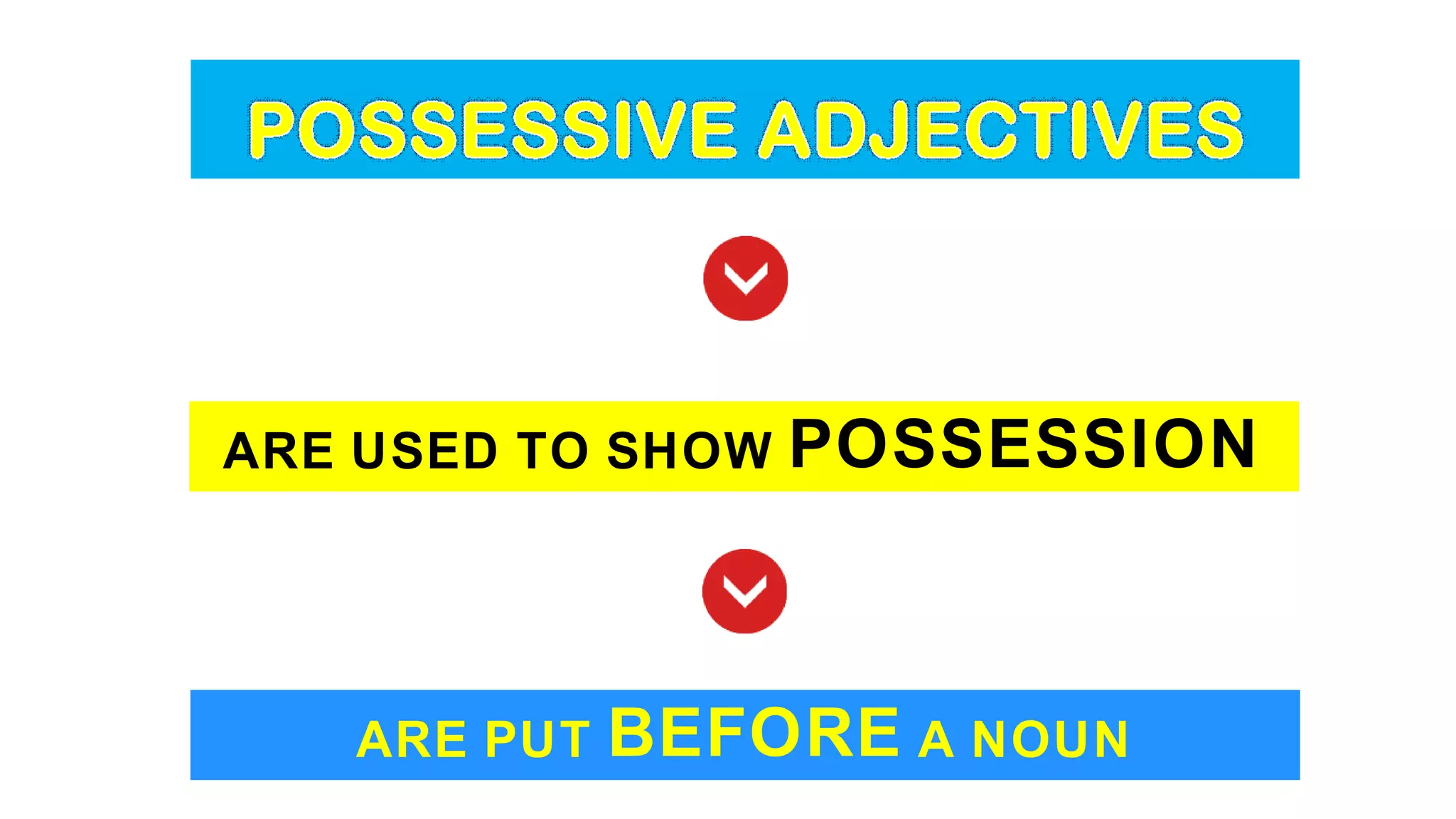 Possessive adjectives | PPTX
