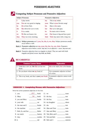 Possessive adjectives A1-A2 | PDF