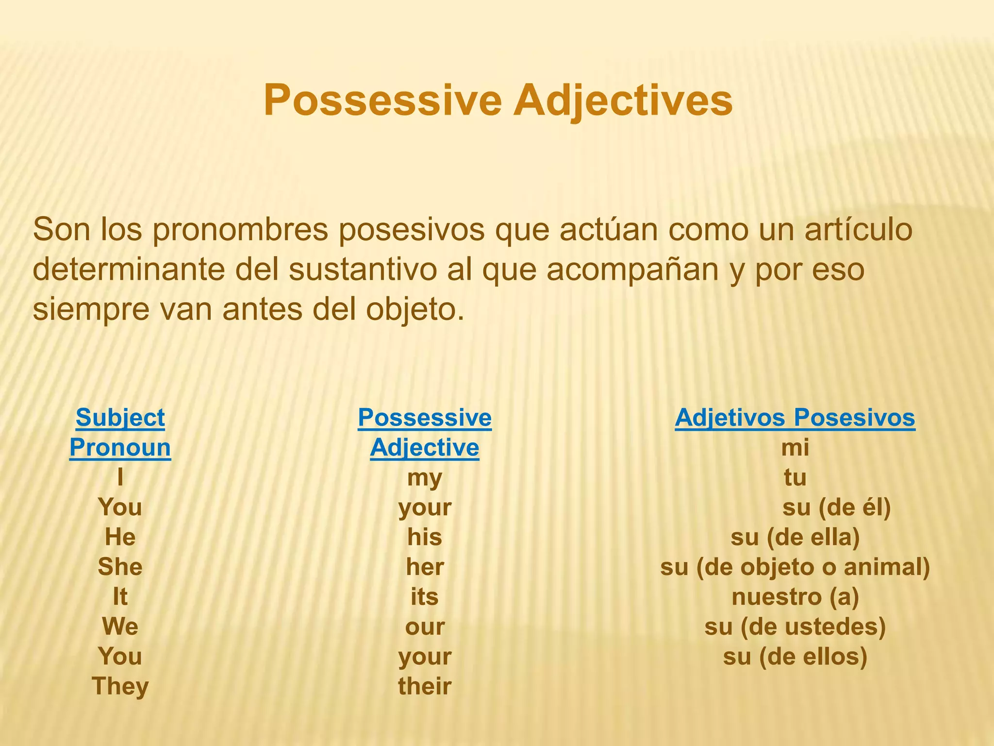 Possessive adjectives | PPT