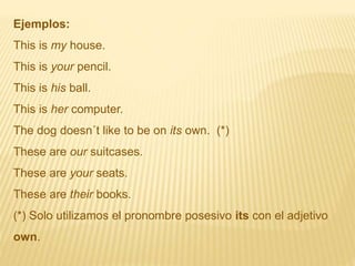 Possessive adjectives | PPTX