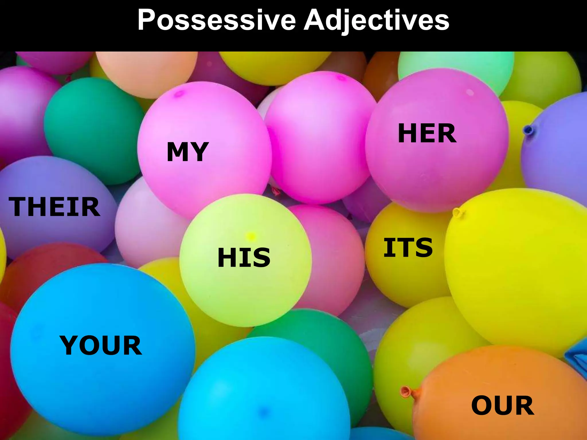 Possessive Adjectives | PPT