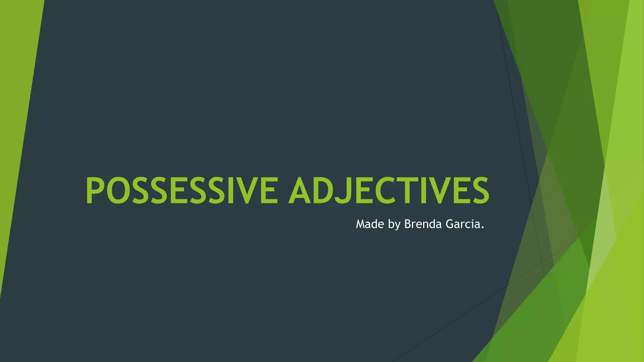 Possessive adjectives | PPTX