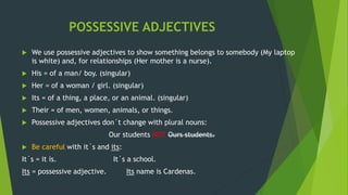 Possessive adjectives | PPTX