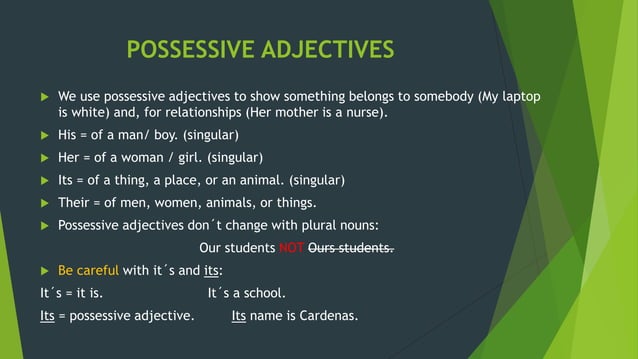 Possessive adjectives | PPTX