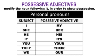 Possessive adjectives | PPTX