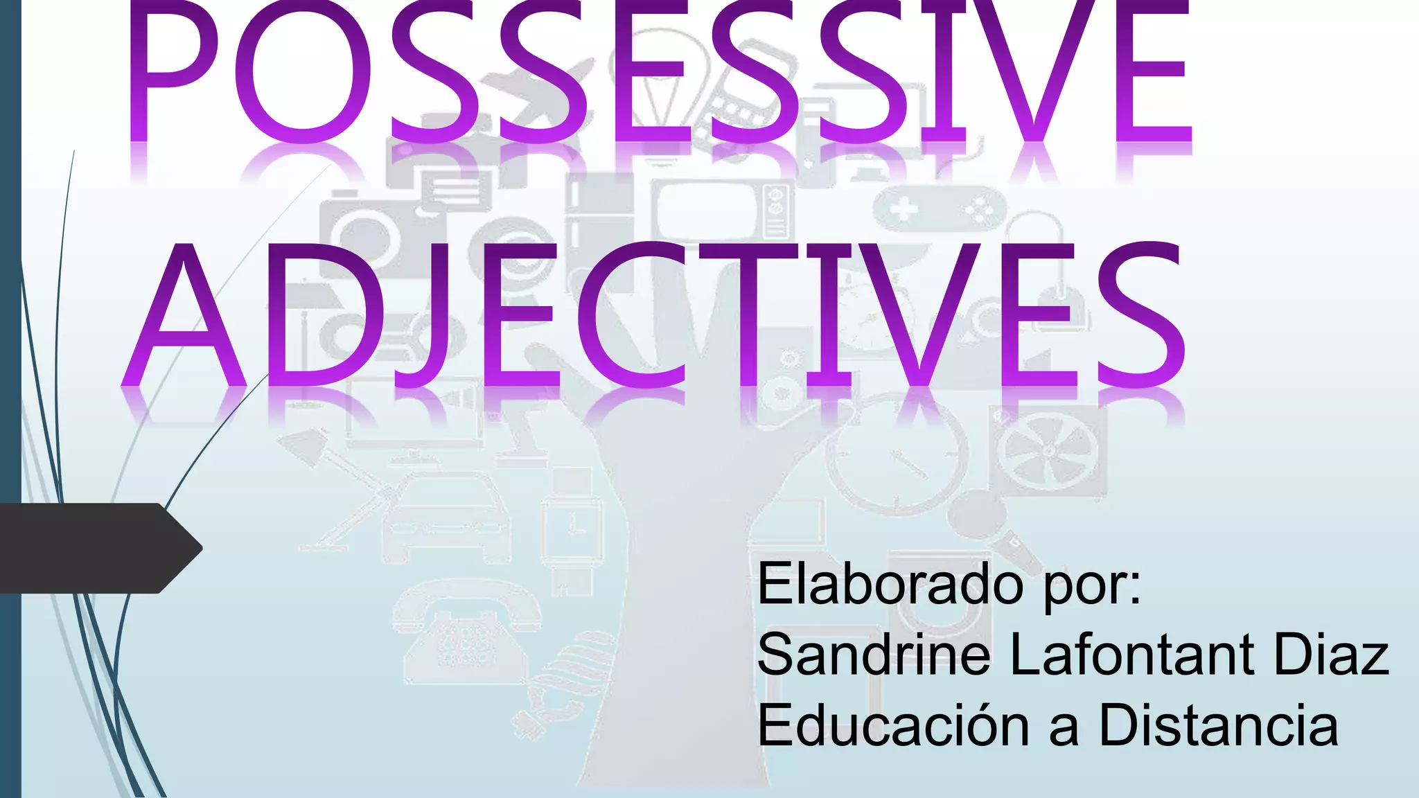 Possessive adjectives | PPT
