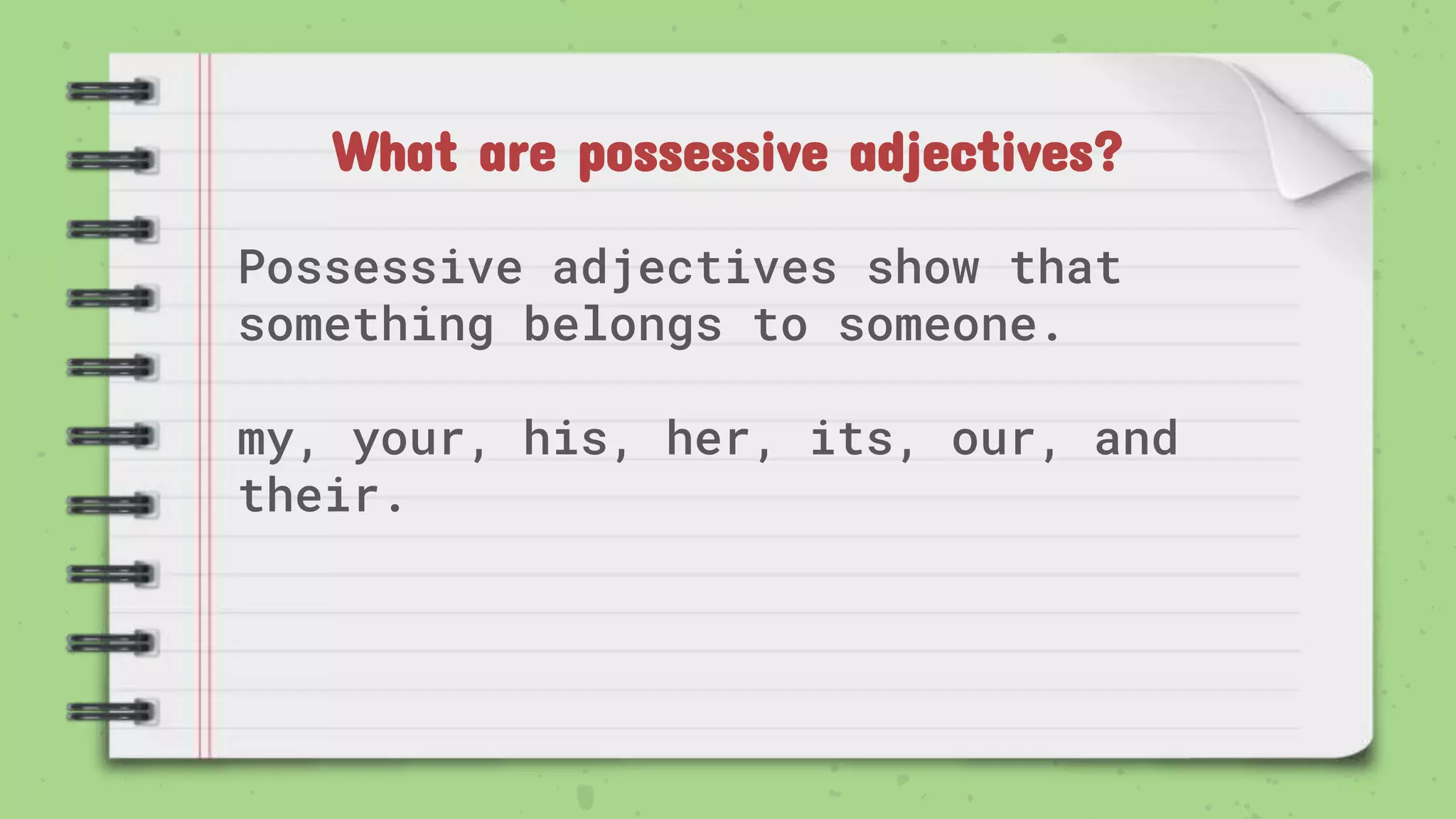 Possessive adjectives | PPTX