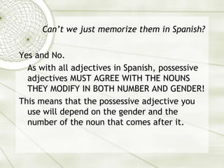 Possessive Adjectives.ppt