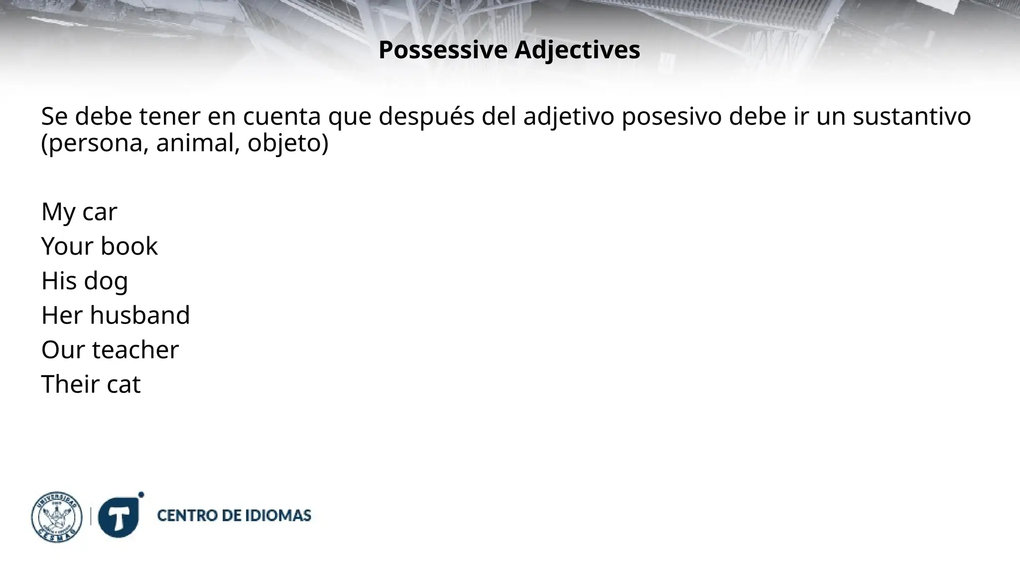 possessive adjectives and professions jobs | PPTX