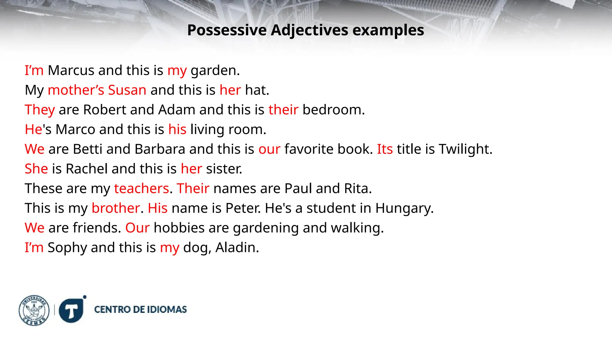 possessive adjectives and professions jobs | PPTX
