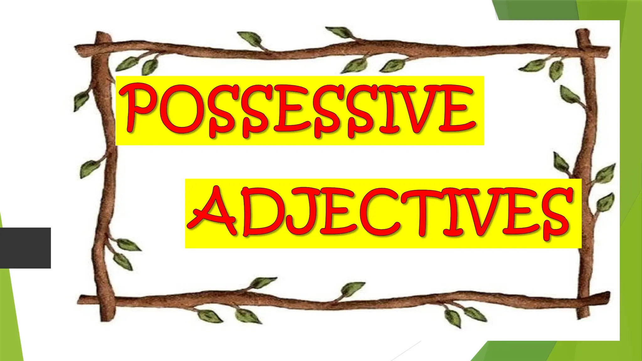 POSSESSIVE ADJECTIVES................................ | PPTX