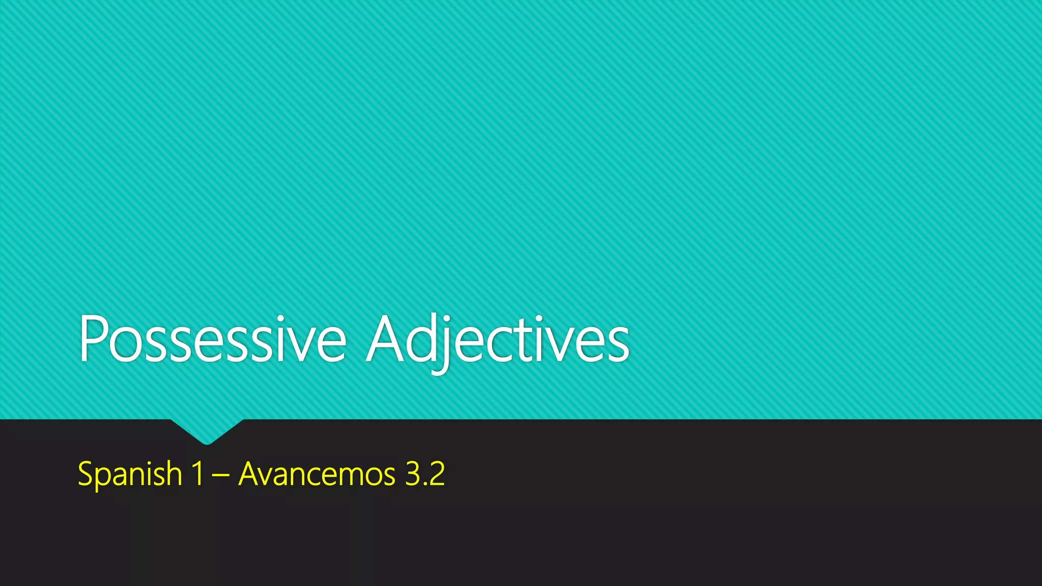 Possessive adjectives ppt with practice without answers | PPTX