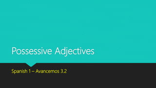 Possessive adjectives ppt with practice without answers | PPTX