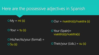 Possessive adjectives ppt with practice without answers | PPTX