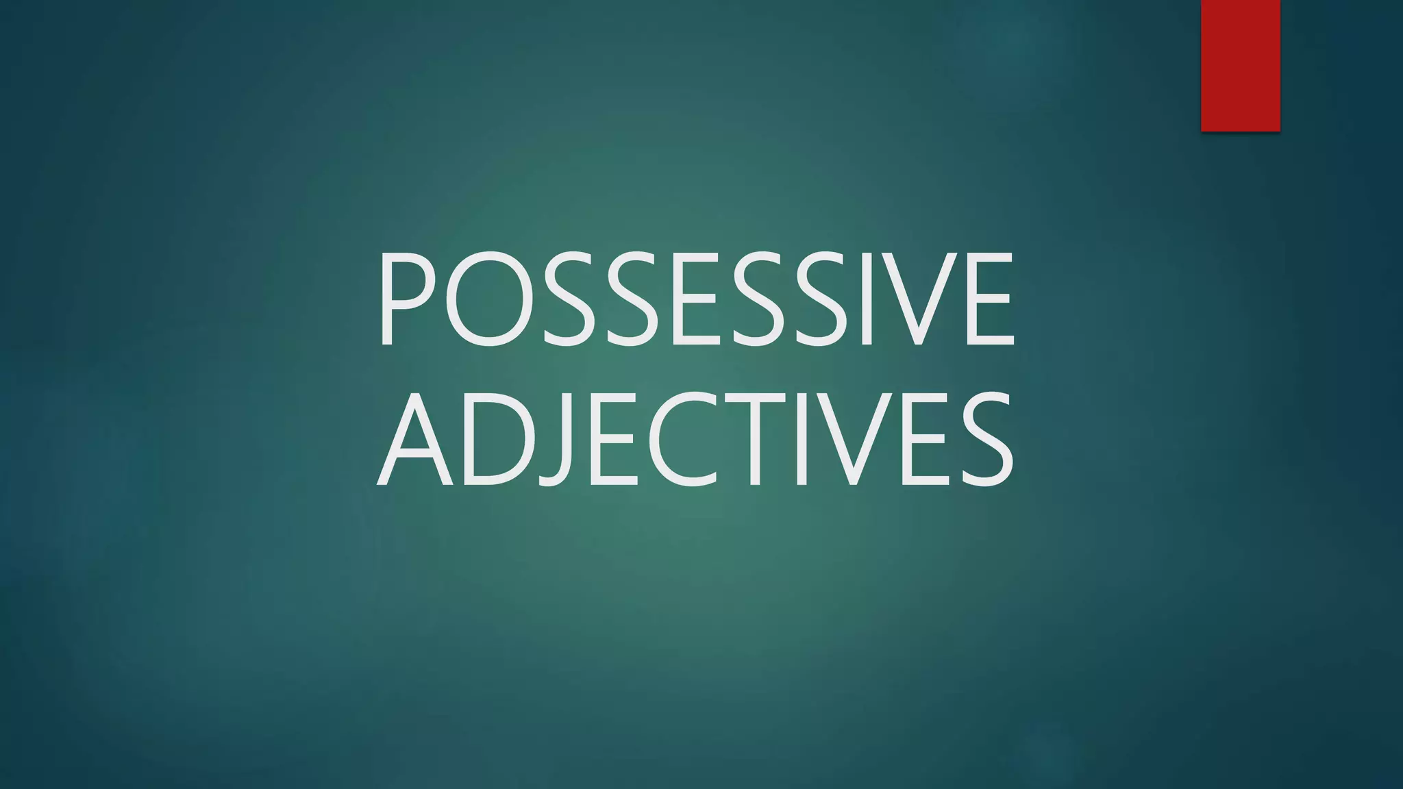 Possessive adjectives presentation | PPTX