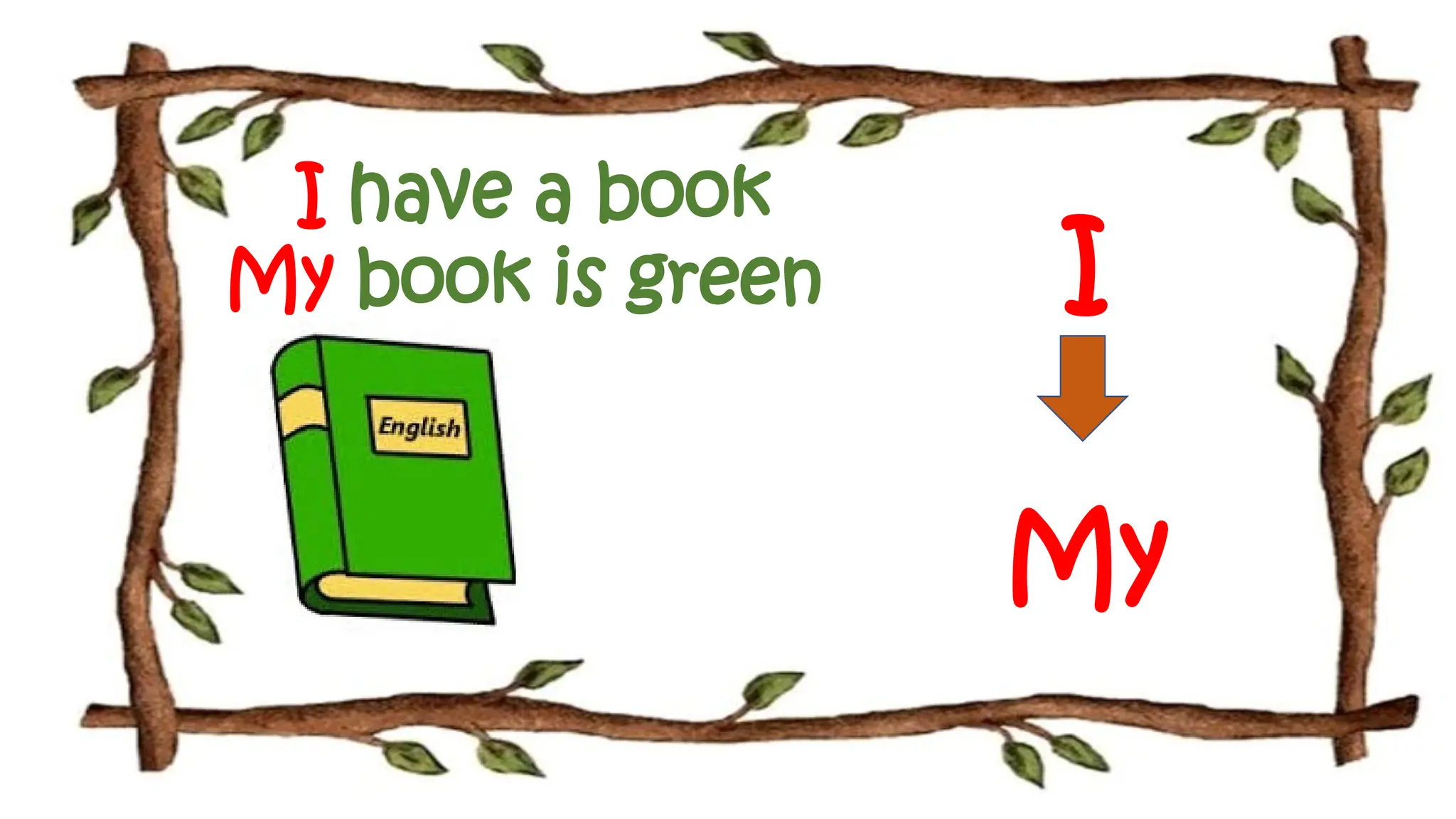 possessive adjectives in English - presentation | PPT