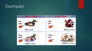 Possessive and Demonstrative Adjectives | PPT