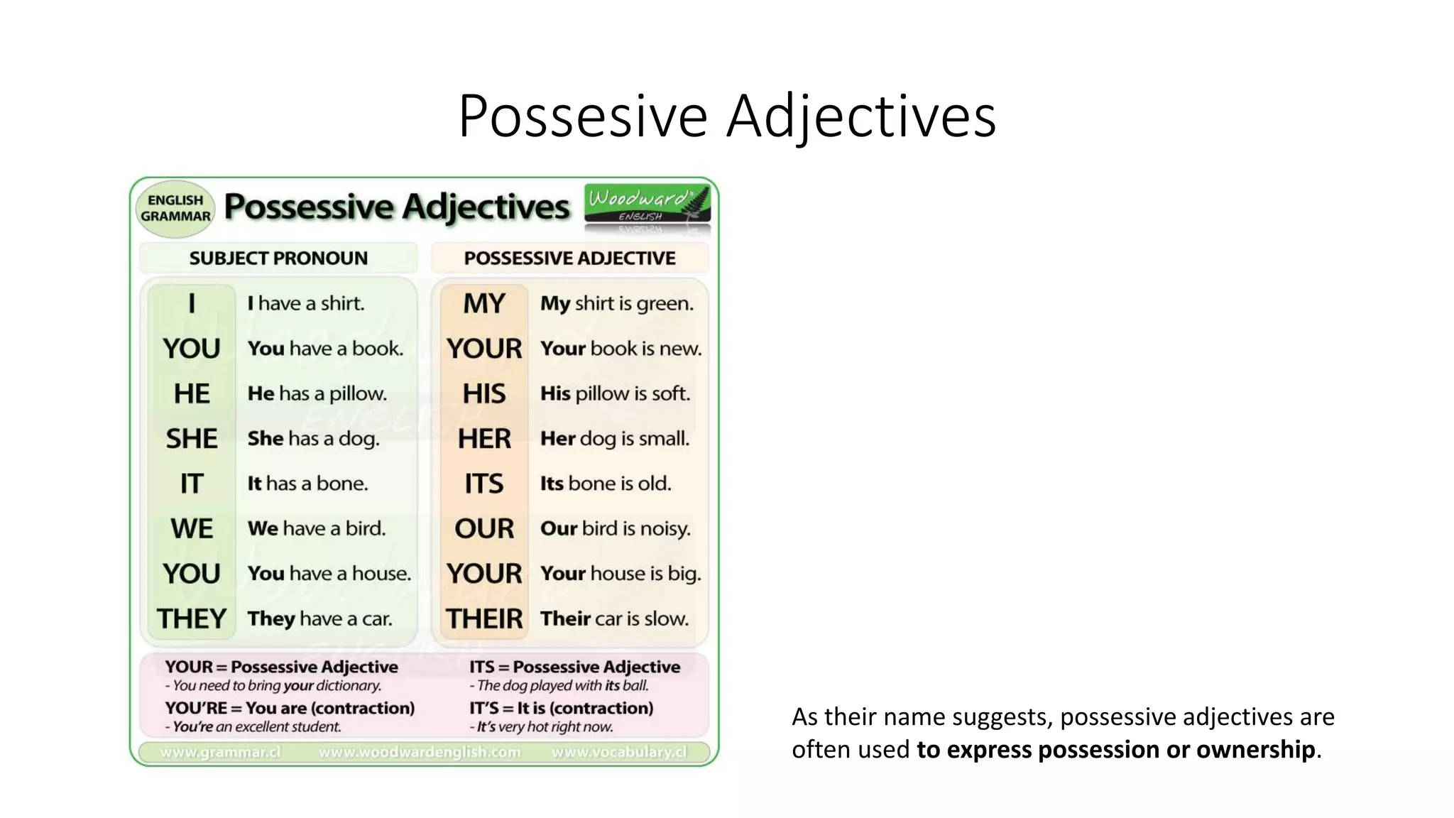 Possessive case (‘s).pptx