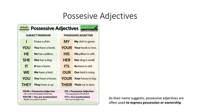 Possessive case (‘s).pptx