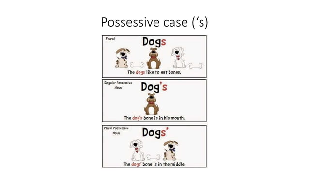 Possessive case (‘s).pptx