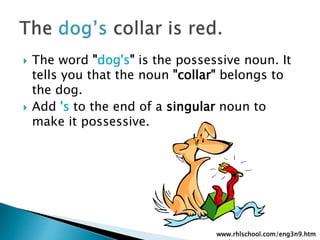 Possessive nouns | PPTX