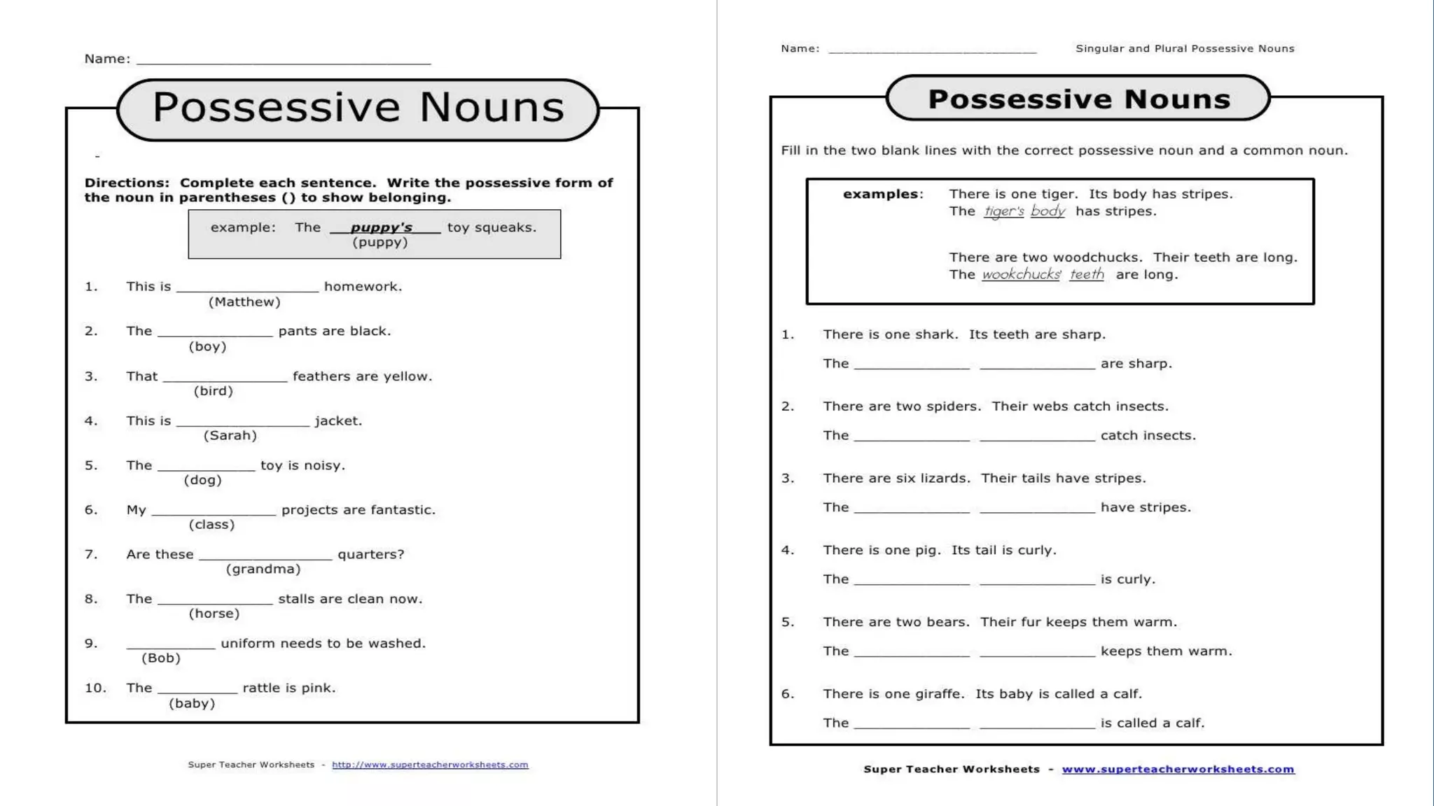 Possessive nouns | PPTX