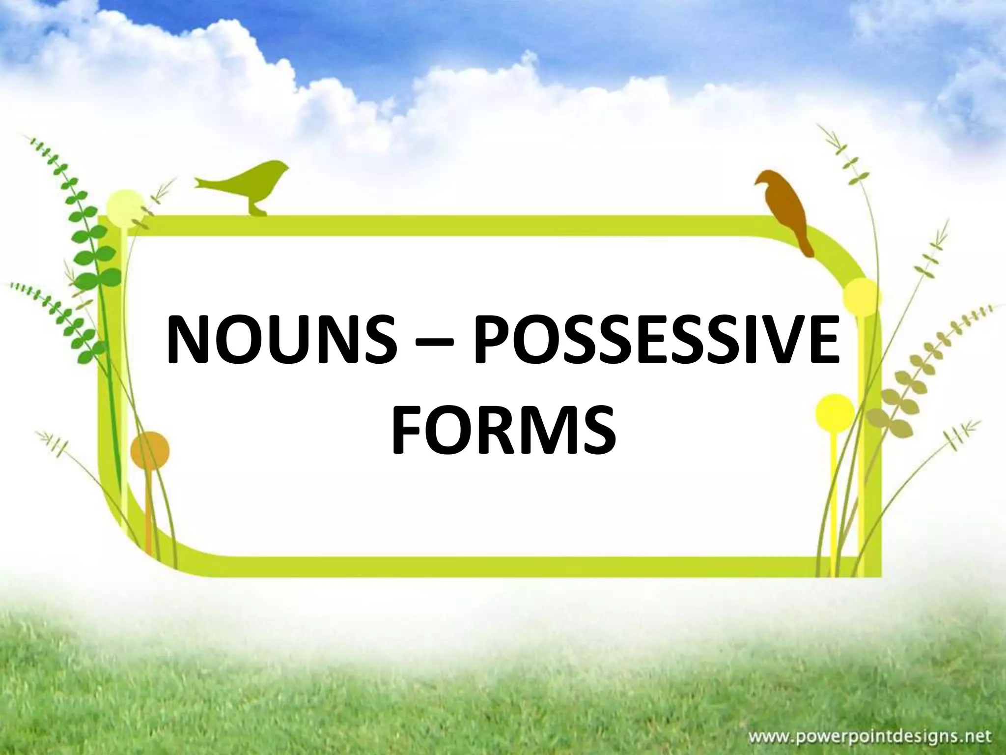 Possessive Nouns PPT | PPTX
