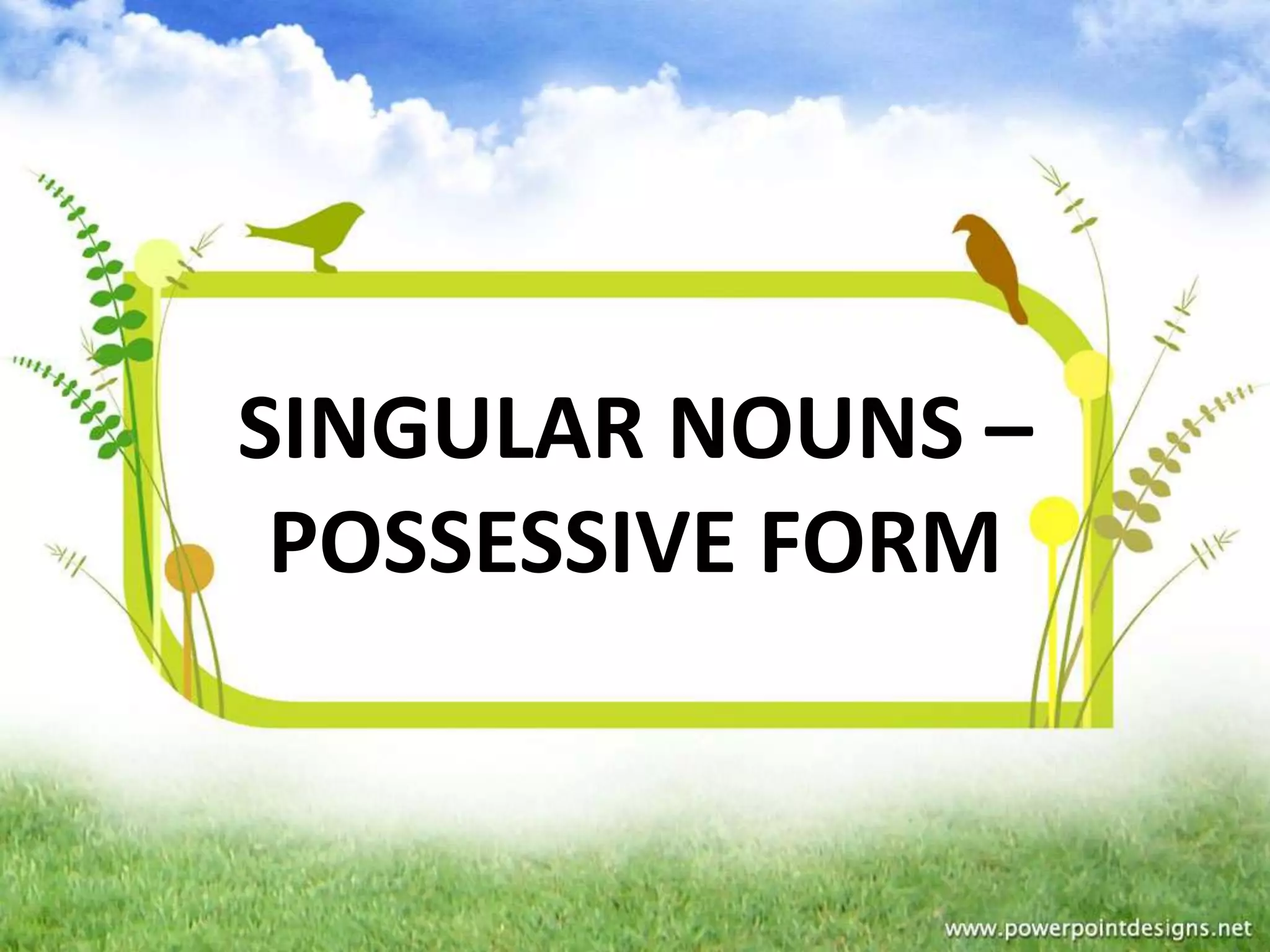 Possessive Nouns PPT | PPTX