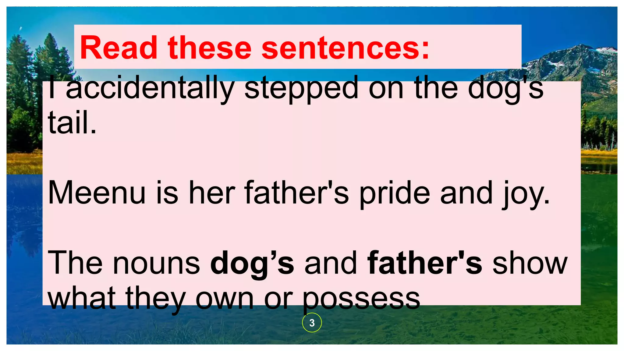 Possessive Nouns ppt | PPTX