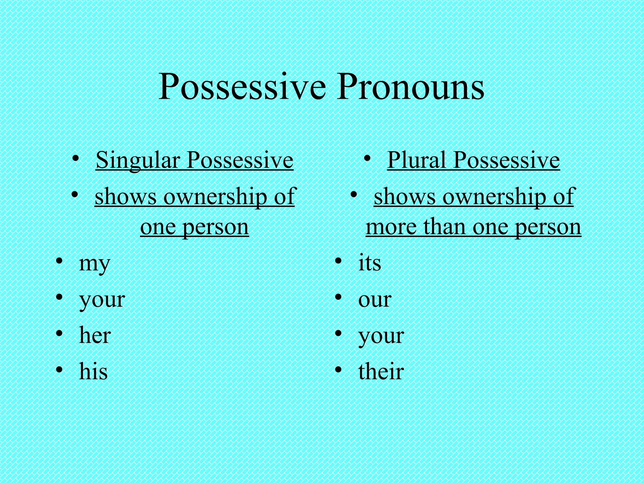 Possessive pronouns | PPT