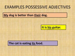 Possessive pronouns | PPTX
