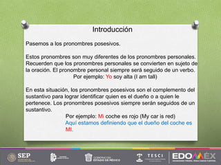 Possessive pronouns | PPTX